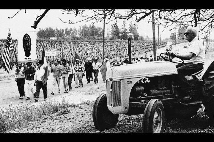 Harvesting Labor Rights: Chavez’s UFW At 50 | TIME.com