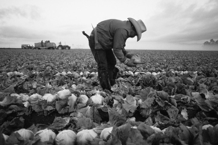 Harvesting Labor Rights: Chavez’s UFW At 50 | TIME.com