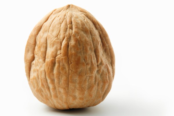 Nut Jobs… | TIME.com