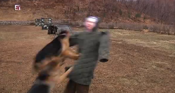 Rin Tin Tinpot Dictator | TIME.com