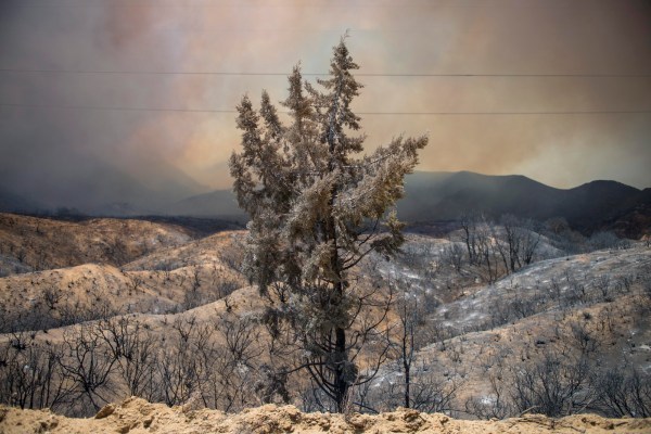 ‘Powerhouse Fire’ Scorches Angeles National Forest | TIME.com