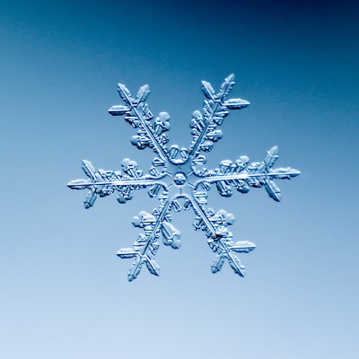 Get Ready For a COLD Winter | TIME.com