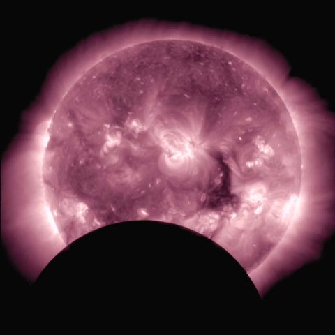Freezing? Warm Up With These Incredible Photos of the Sun’s Surface ...